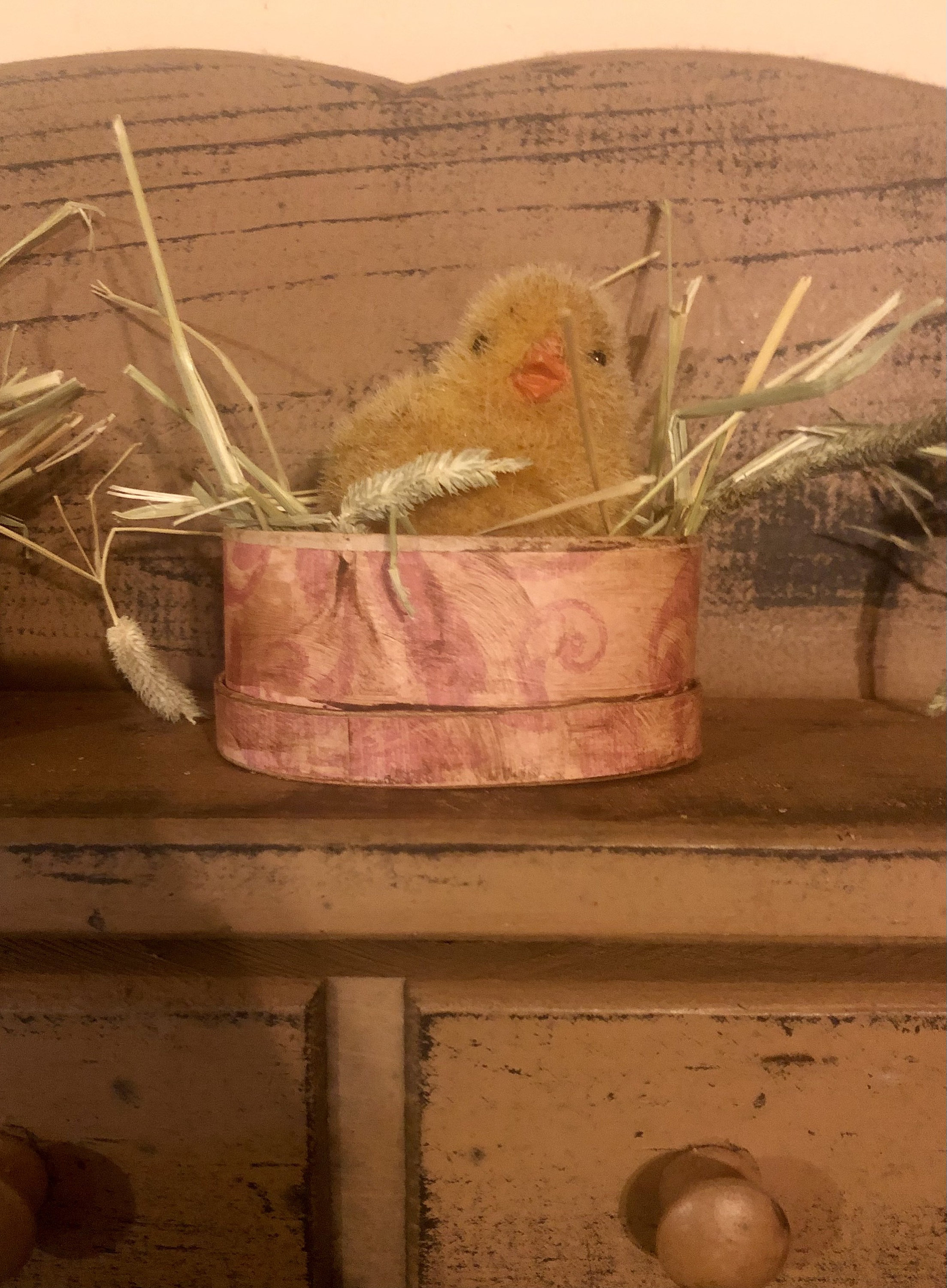 primitive Chick in box with grass