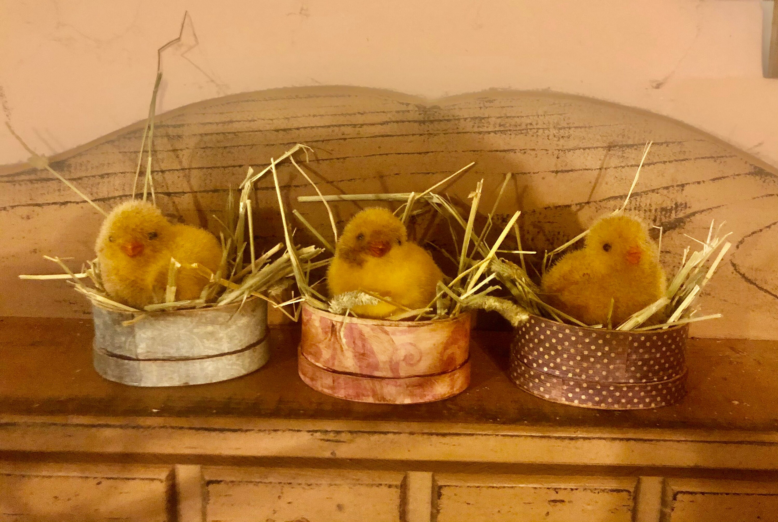 primitive Chick in box with grass