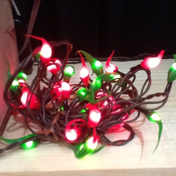 Spring String Lights - Etsy