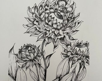 Original Ink Drawing - Etsy