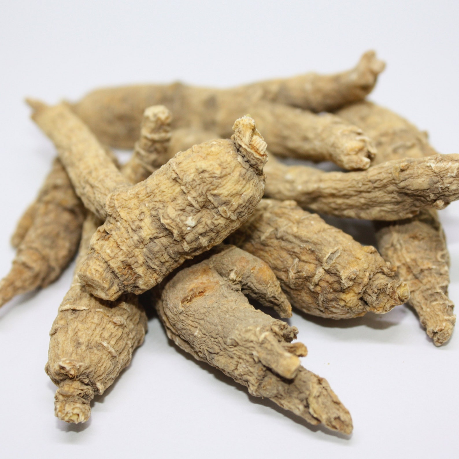 American Ginseng Root, 西洋参 - Etsy