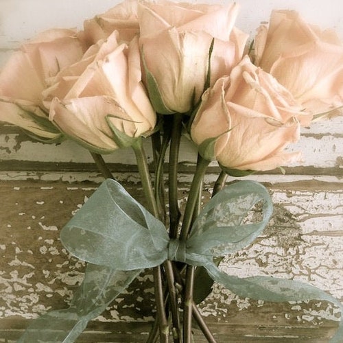 Rustic Romance Rose Art Print Shabby Cottage Chic Art - Etsy