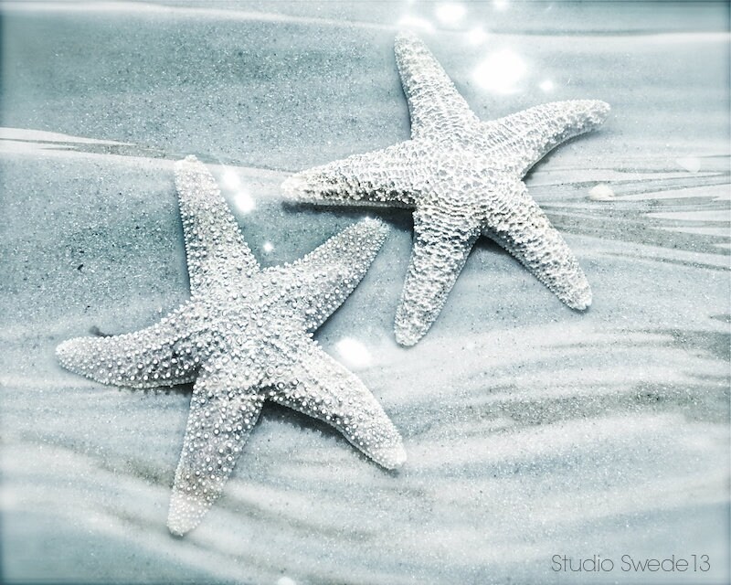 Sea Stars Starfish Print, Tropical Beach Wall Art, Nature Print, Childs ...