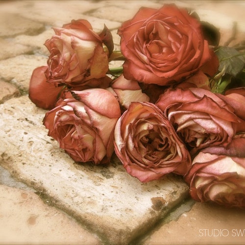 Rustic Romance Rose Art Print Shabby Cottage Chic Art - Etsy