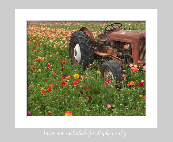 Old Tractor Flower Field Landscape Art, Country Field Farm Image ...