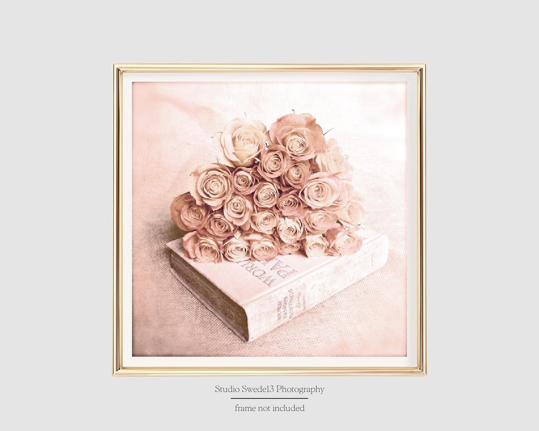 Blushed- Pink Rose Art, Rose Photography, Shabby Cottage Chic Photo ...