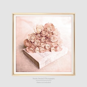 Blushed- Pink Rose Art, Rose Photography, Shabby Cottage Chic Photo ...