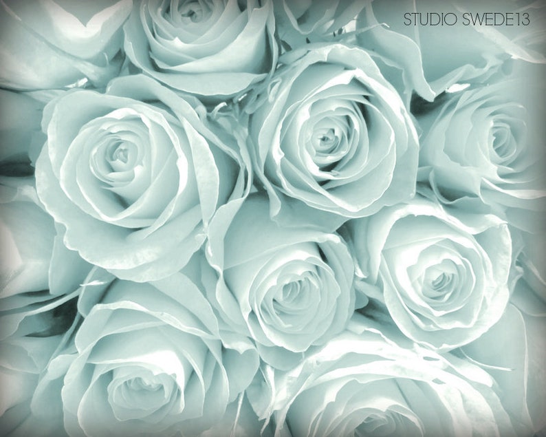Aqua Dream Blue Rose Photograph Rose Art Aqua Flower Photo - Etsy