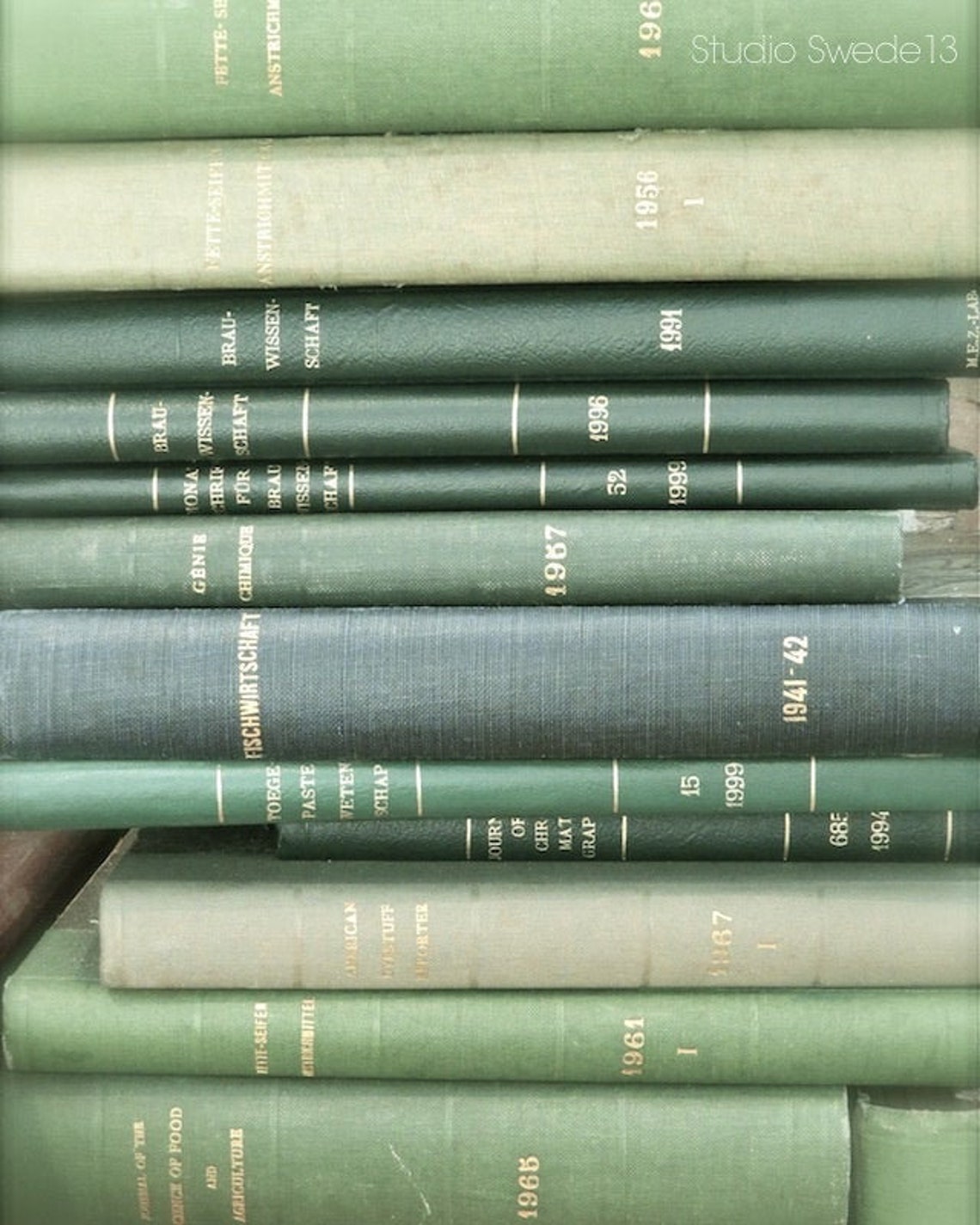 Green Library Book Photography Green Book Art Print Shabby - Etsy