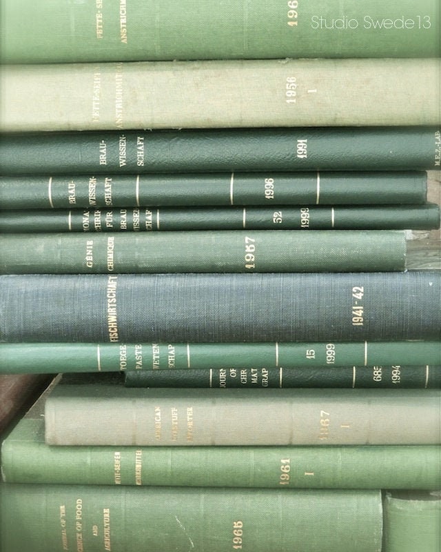 Green Library Book Photography Green Book Art Print Shabby - Etsy
