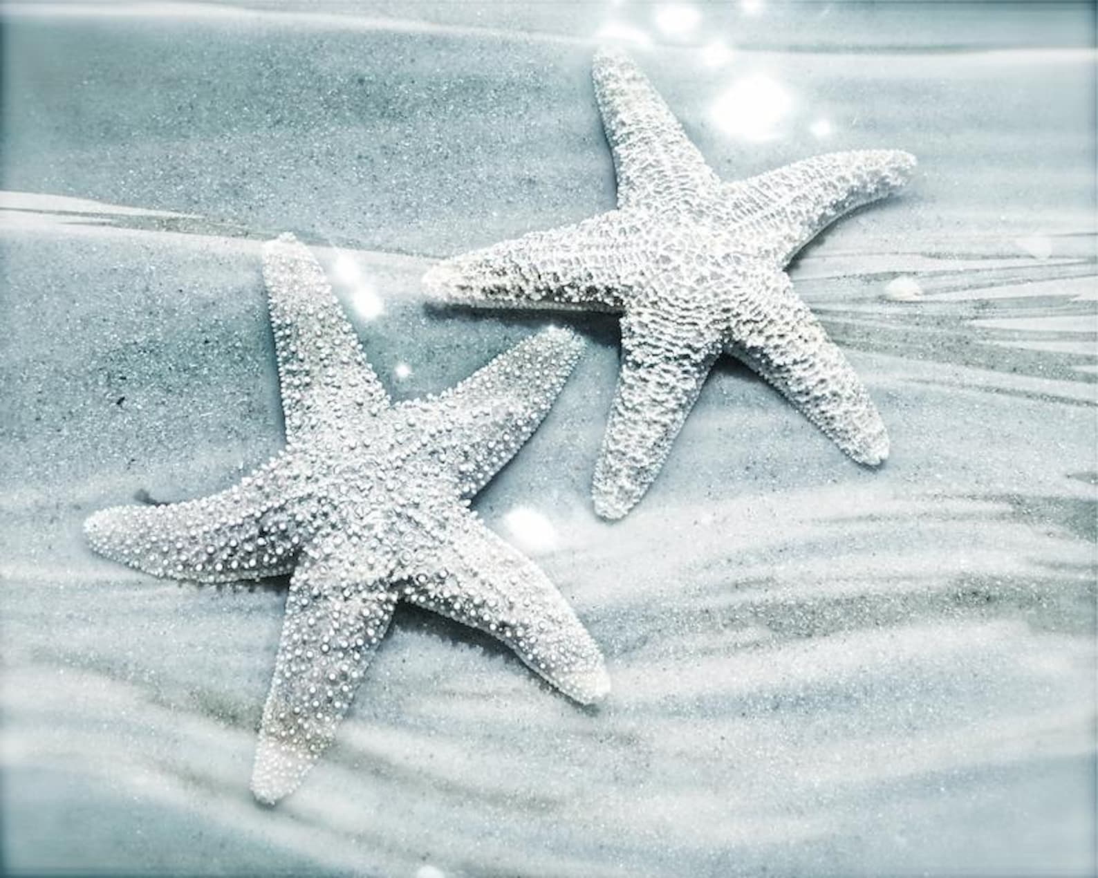 Sea Stars- Starfish Print, Tropical Beach Wall Art, Nature Print ...