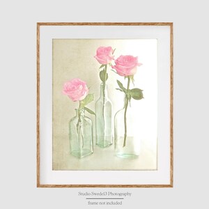 Pink Simplicity- Pink Rose Photography, Shabby Cottage Chic, Pink Rose ...