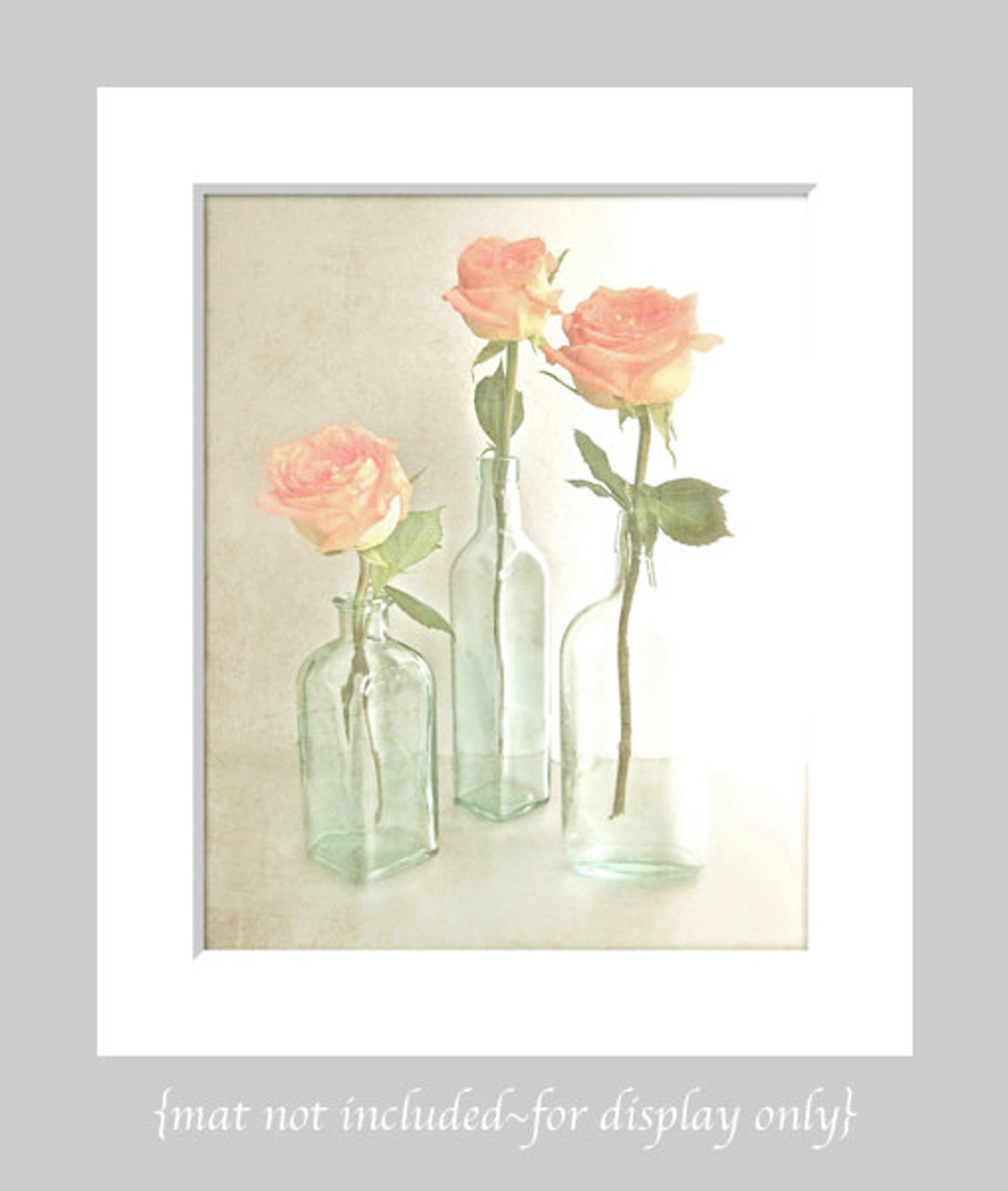 Simplicity Rose Art Rose Photography Cottage Chic Floral | Etsy