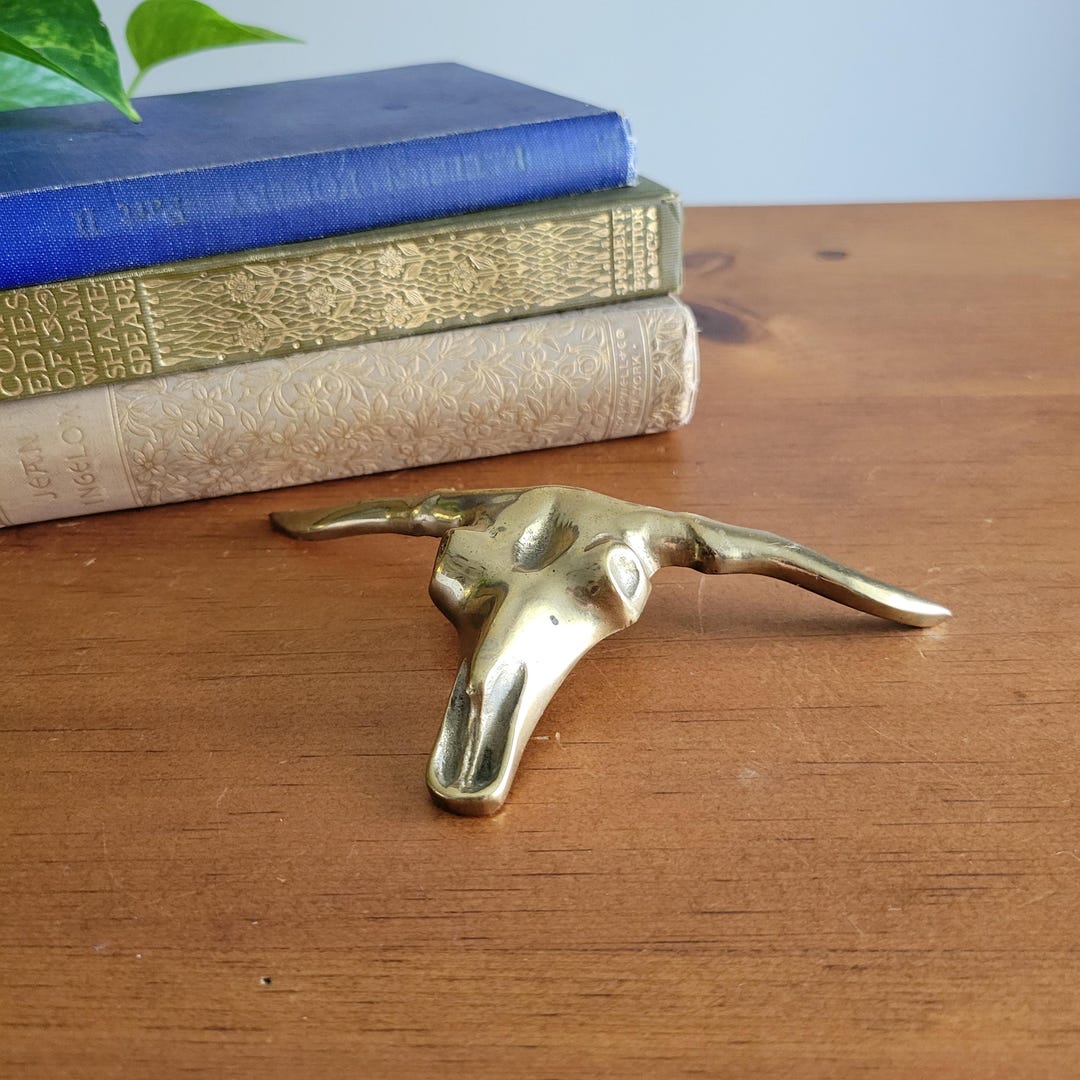 6 Brass Longhorn Cattle Skull: Cow Skull Paperweight, Shelf or Desk ...