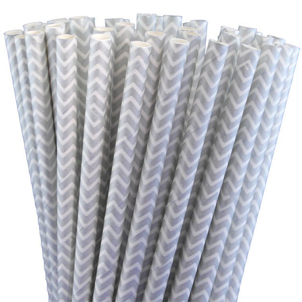 Silver Paper Straws - Etsy