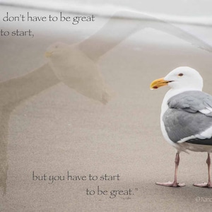 Inspirational Wall Art, Nature Print, Seagull Picture, Sandy Beach ...