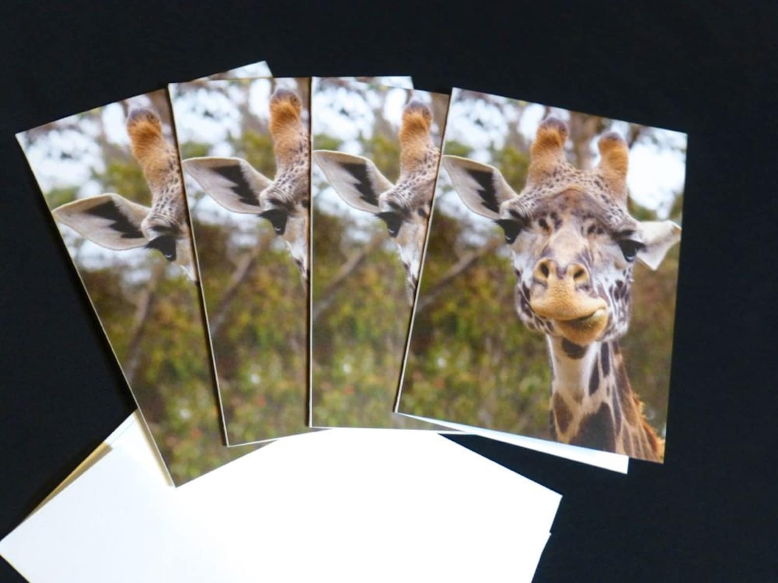 Giraffe Note Cards, Funny Animal Photography Set of 4 All Occasion ...