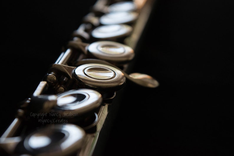 Flute Art, Musical Instrument Photography, Flutist Gift for Musician ...