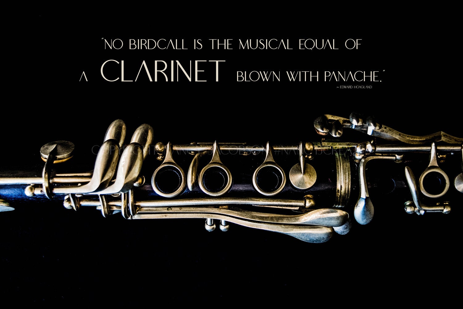 Clarinet Art, Musical Instrument Photography Clarinetist Gift for ...