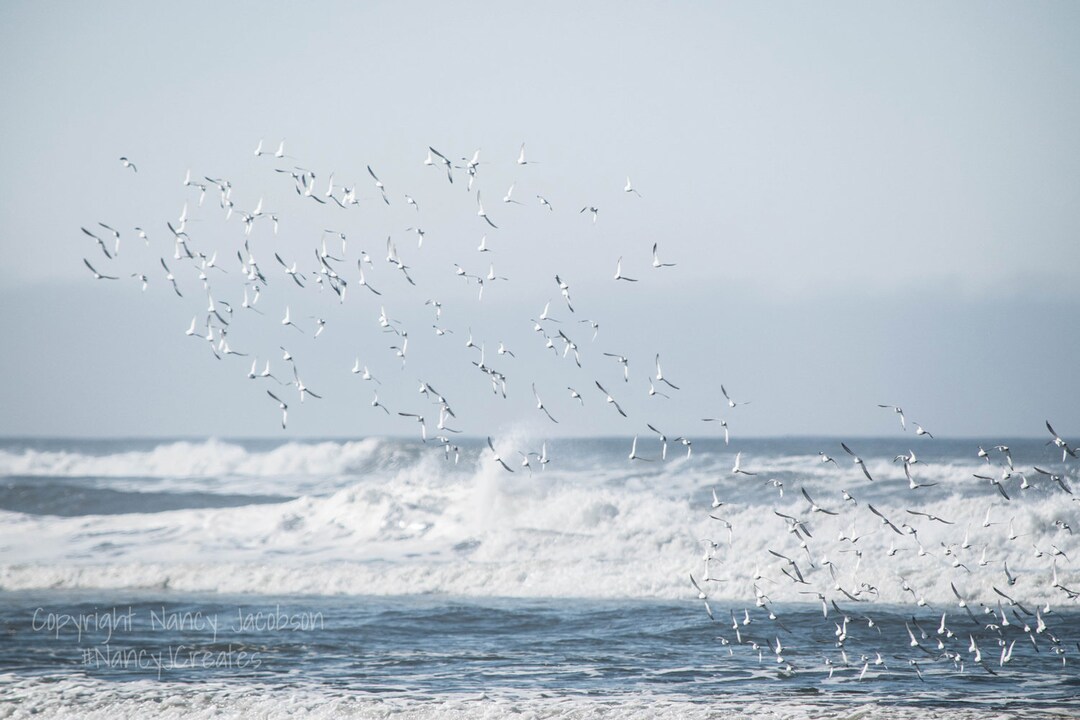 Birds Flying Over Beach Print, Ocean Decor Beach Photography, Sea Blue ...