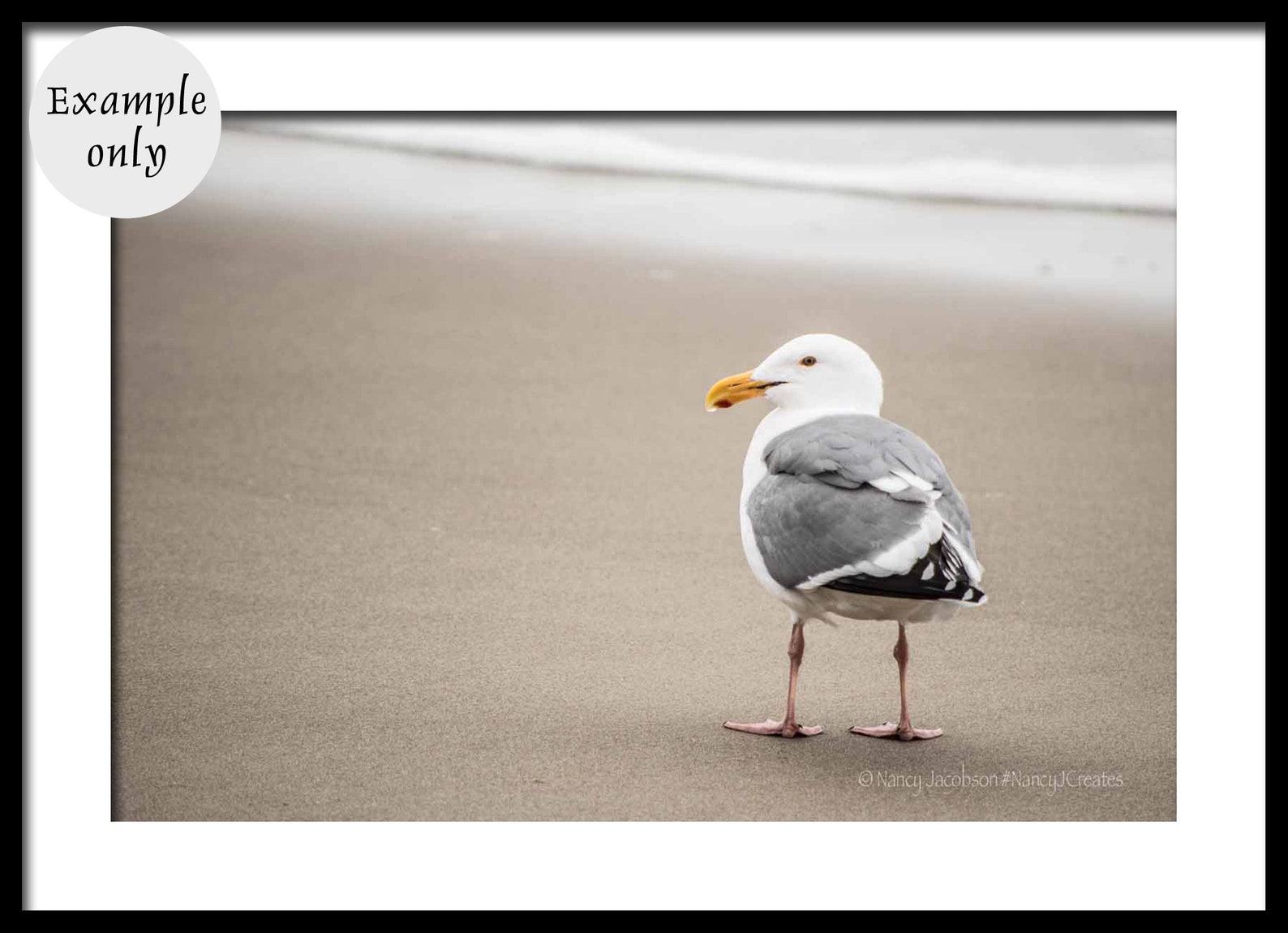 Inspirational Wall Art, Nature Print, Seagull Picture, Sandy Beach ...