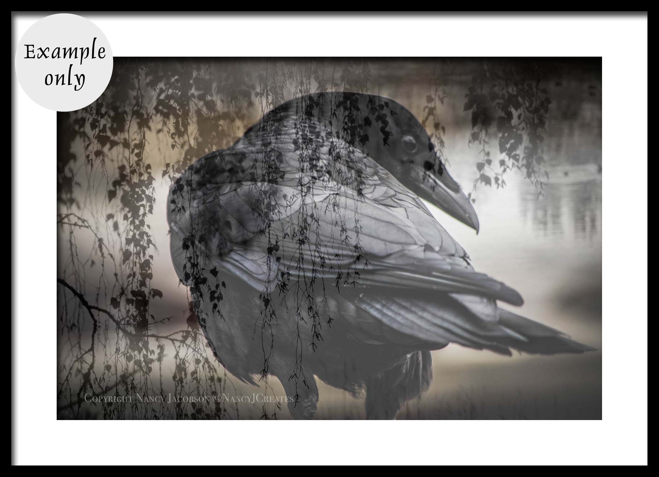 Black Crow Photo, Dramatic Bird Photography, Spectral Crow Art, Ghostly ...