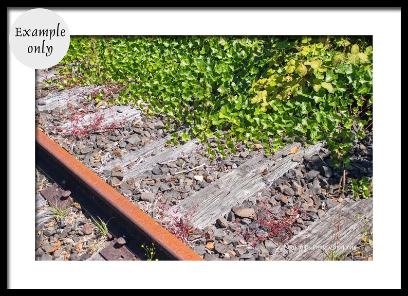 Abandoned Railroad Track Rustic Train Track Photo Rustic Wall | Etsy