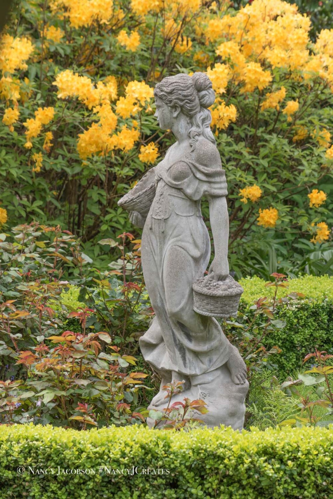 Victorian Statue in Rose Garden Picture Yellow-orange - Etsy