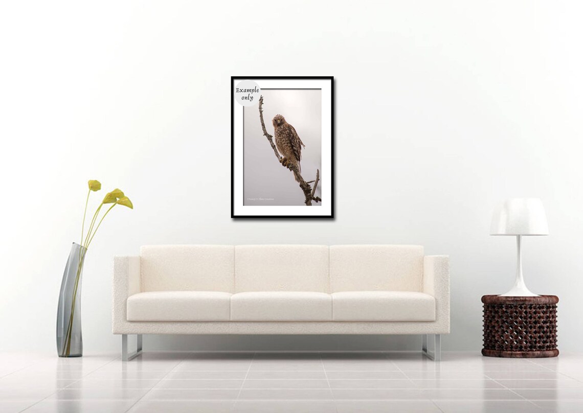 Red-tailed Hawk Photo, Bird Photography, Nature Photography, Hawk Art ...