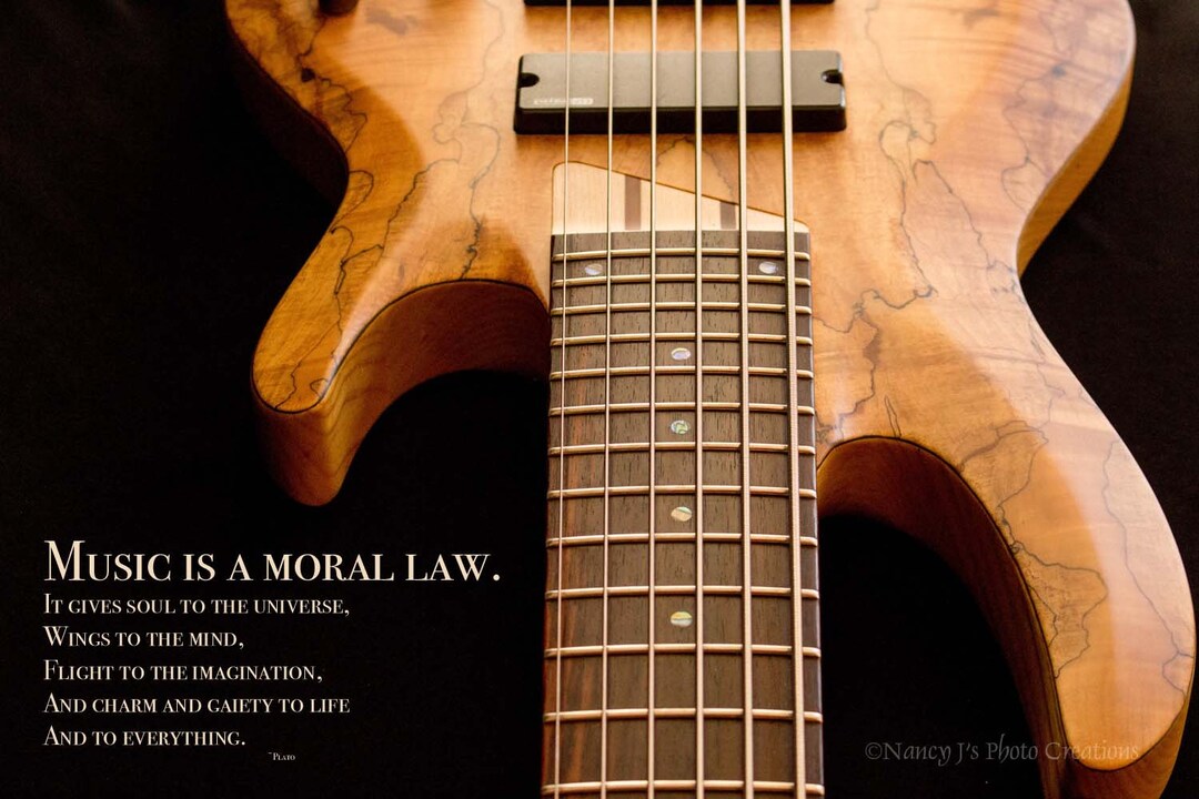 6-string Electric Bass Guitar Photo ~ Music Gift ~ Contemporary Large ...