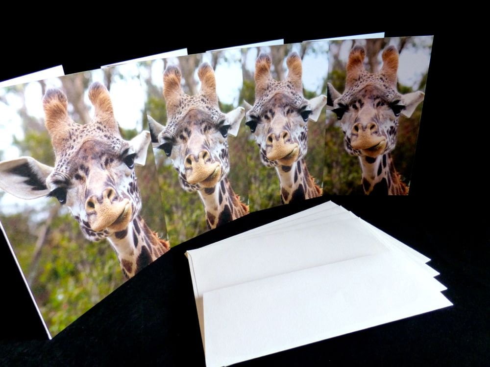 Giraffe Note Cards, Funny Animal Photography Set of 4 All Occasion ...