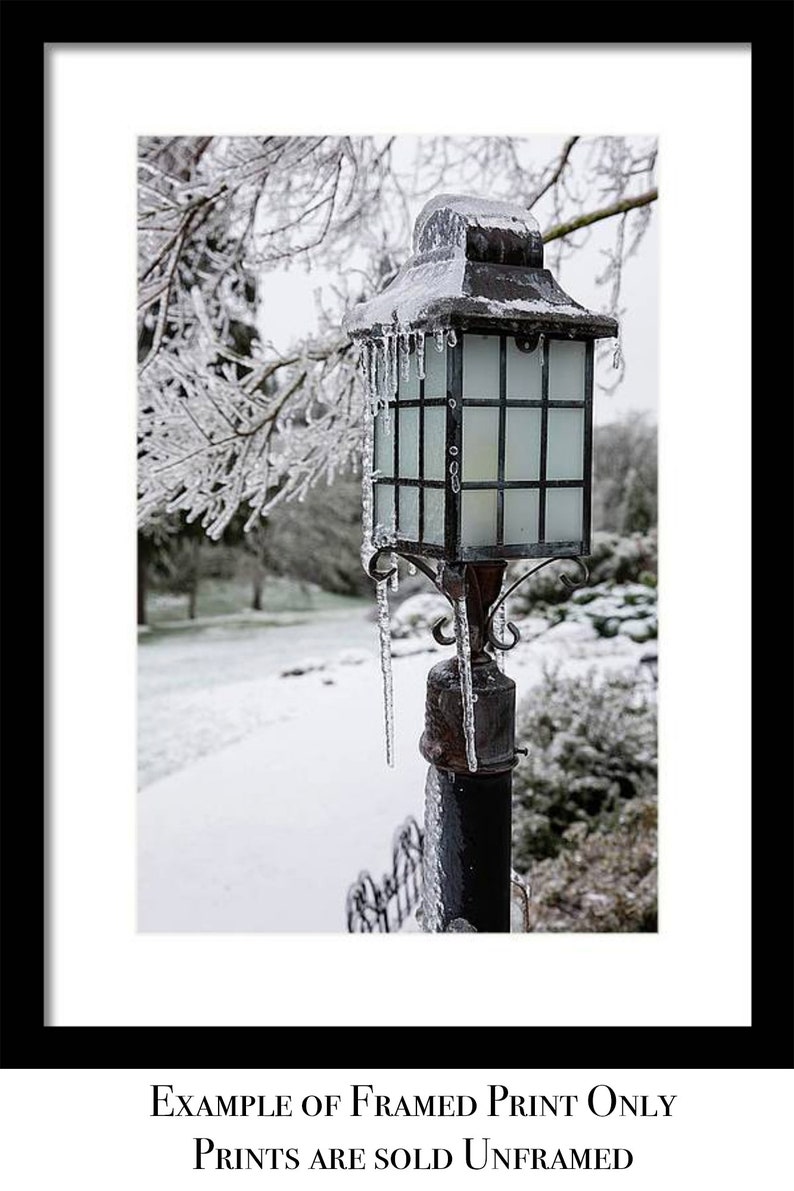 Rustic Lamppost in Ice Print, Winter Photography Rustic Wall Decor ...