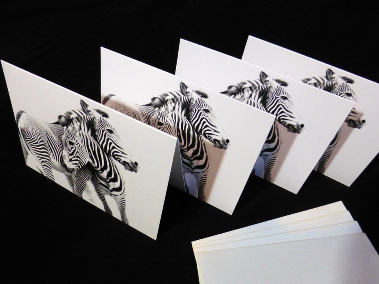 Zebra Note Cards Set of 4 All Occasion Blank Cards Love Thank You Gift ...
