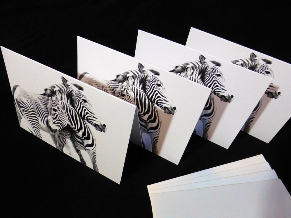 Zebra Note Cards Set of 4 All Occasion Blank Cards Love Thank You Gift ...