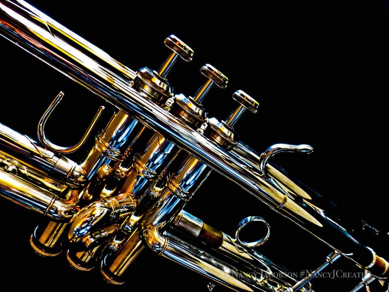 Trumpet Art, Musical Instrument Photography, Trumpeter Gift for ...