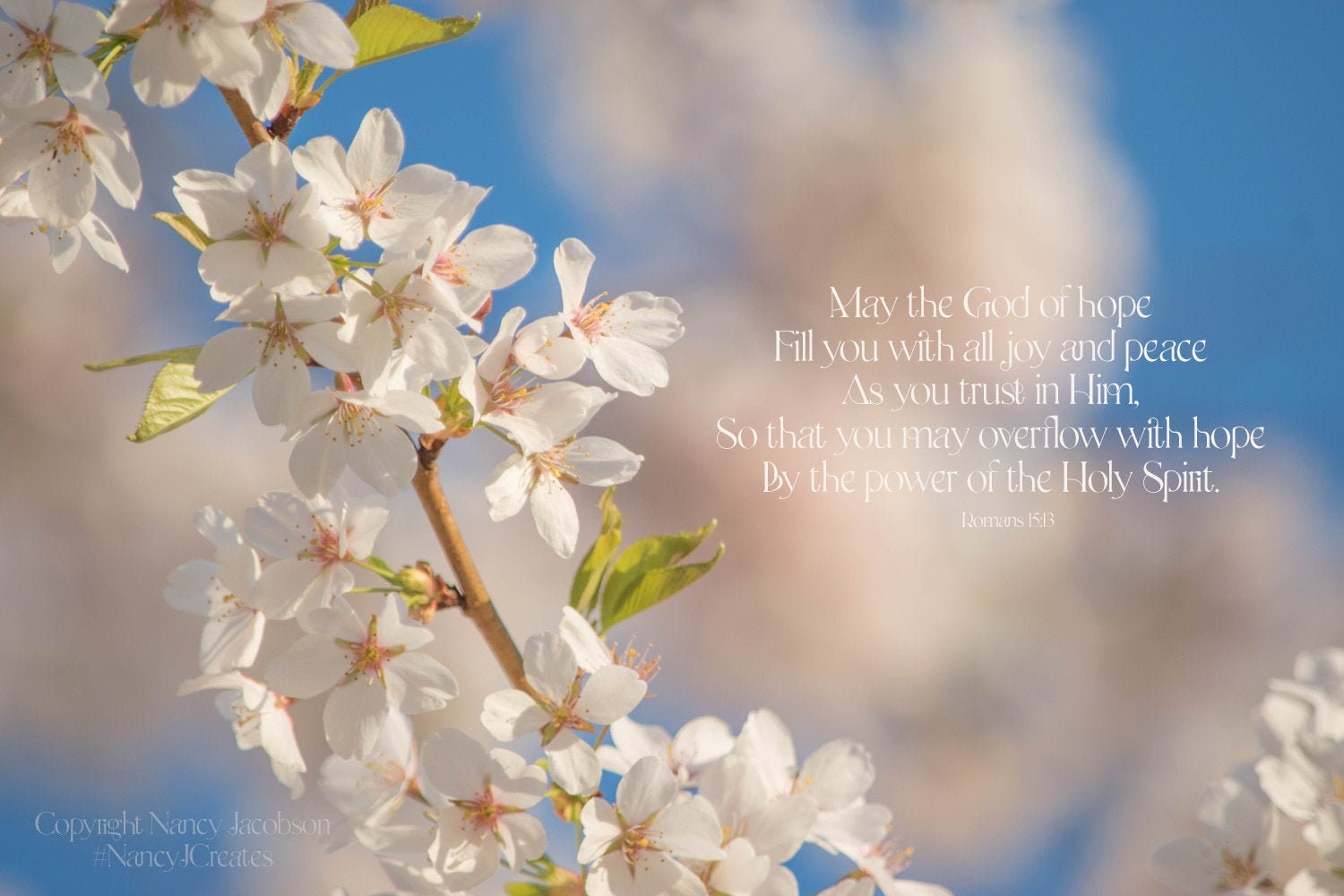 Spring Cherry Blossoms against Blue Sky Photo, Hope Joy Peace ...