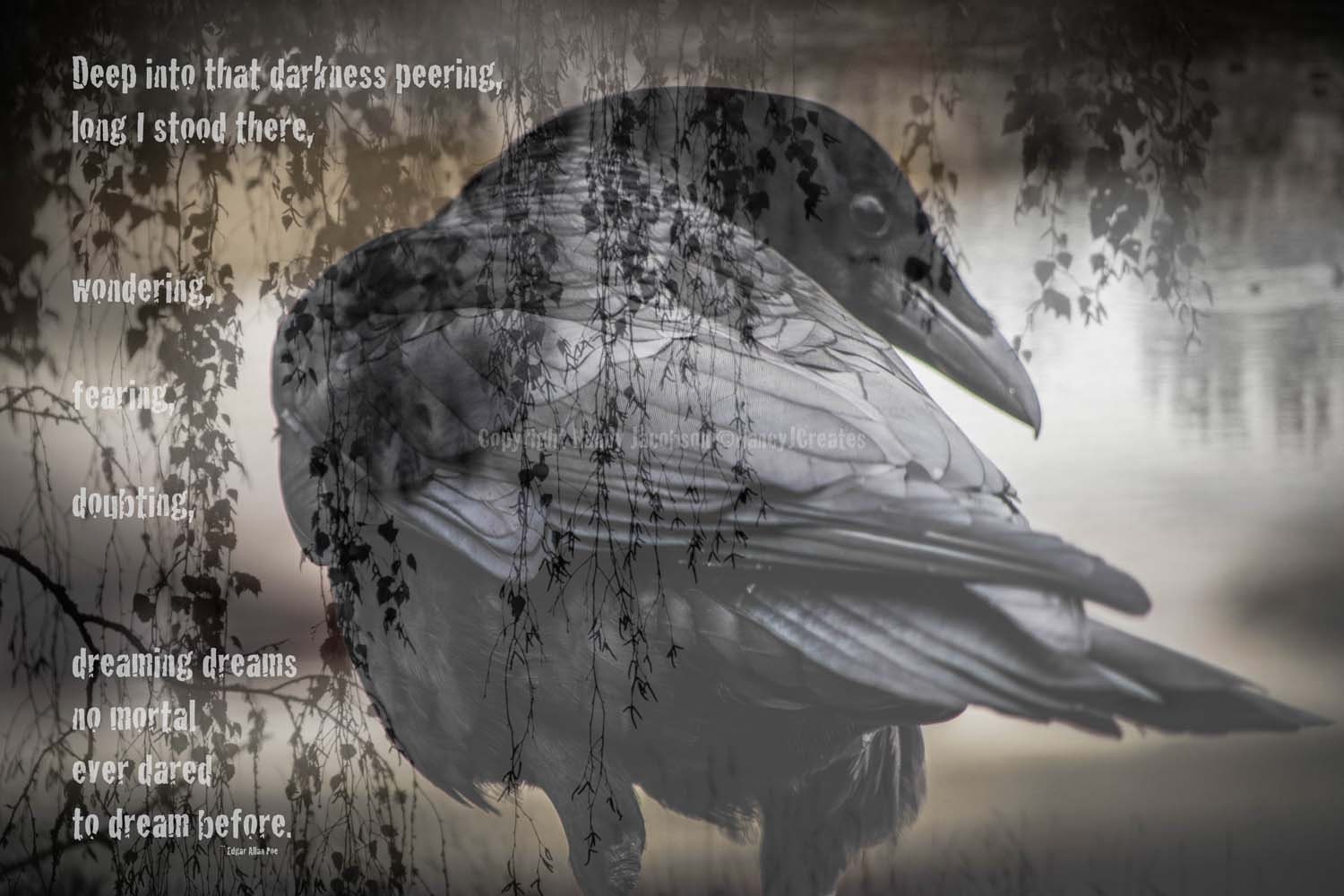 Black Crow Photo, Dramatic Bird Photography, Spectral Crow Art, Ghostly ...