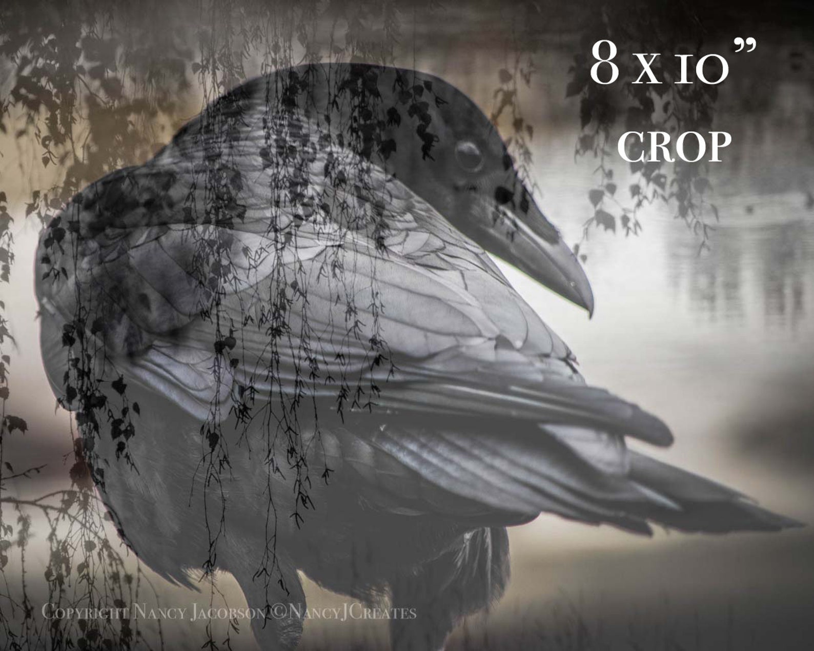 Black Crow Photo, Dramatic Bird Photography, Spectral Crow Art, Ghostly ...