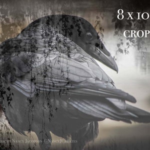 Black Crow Photo, Dramatic Bird Photography, Spectral Crow Art, Ghostly ...