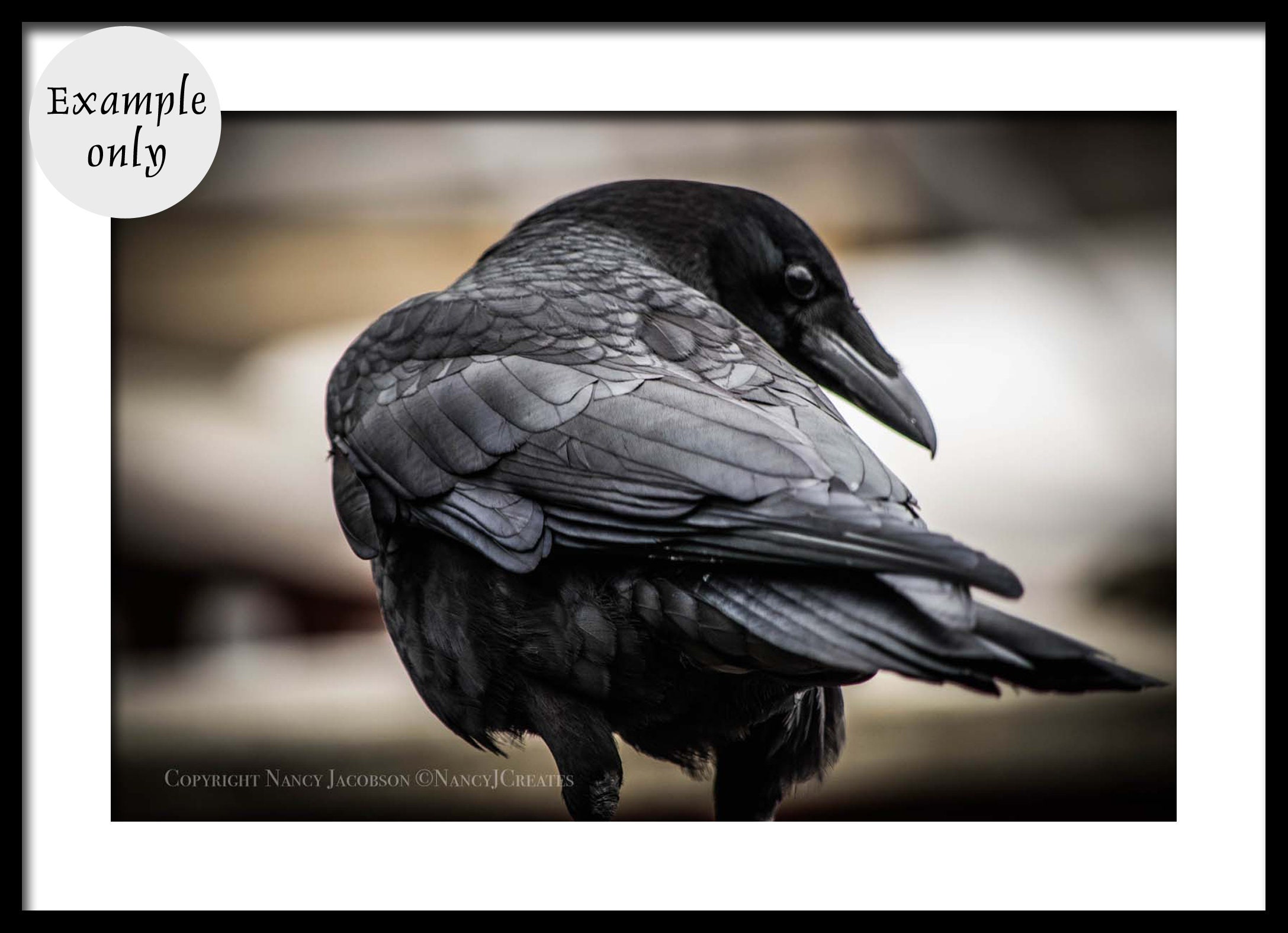 Black Crow Photo, Dramatic Bird Photography, Spectral Crow Art, Ghostly ...