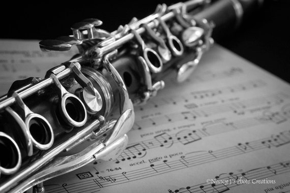 Black And White Photography Musical Instruments