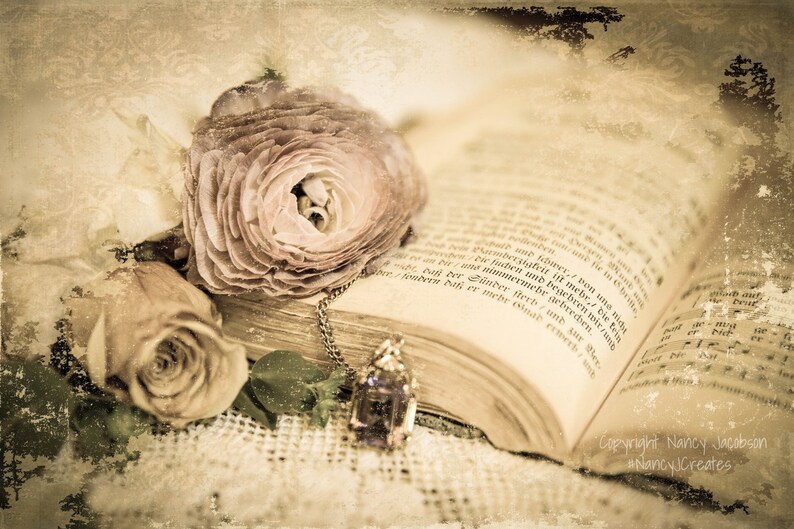 Elegant Memories Old-fashioned Still Life Photo, Antique Decor Rustic ...