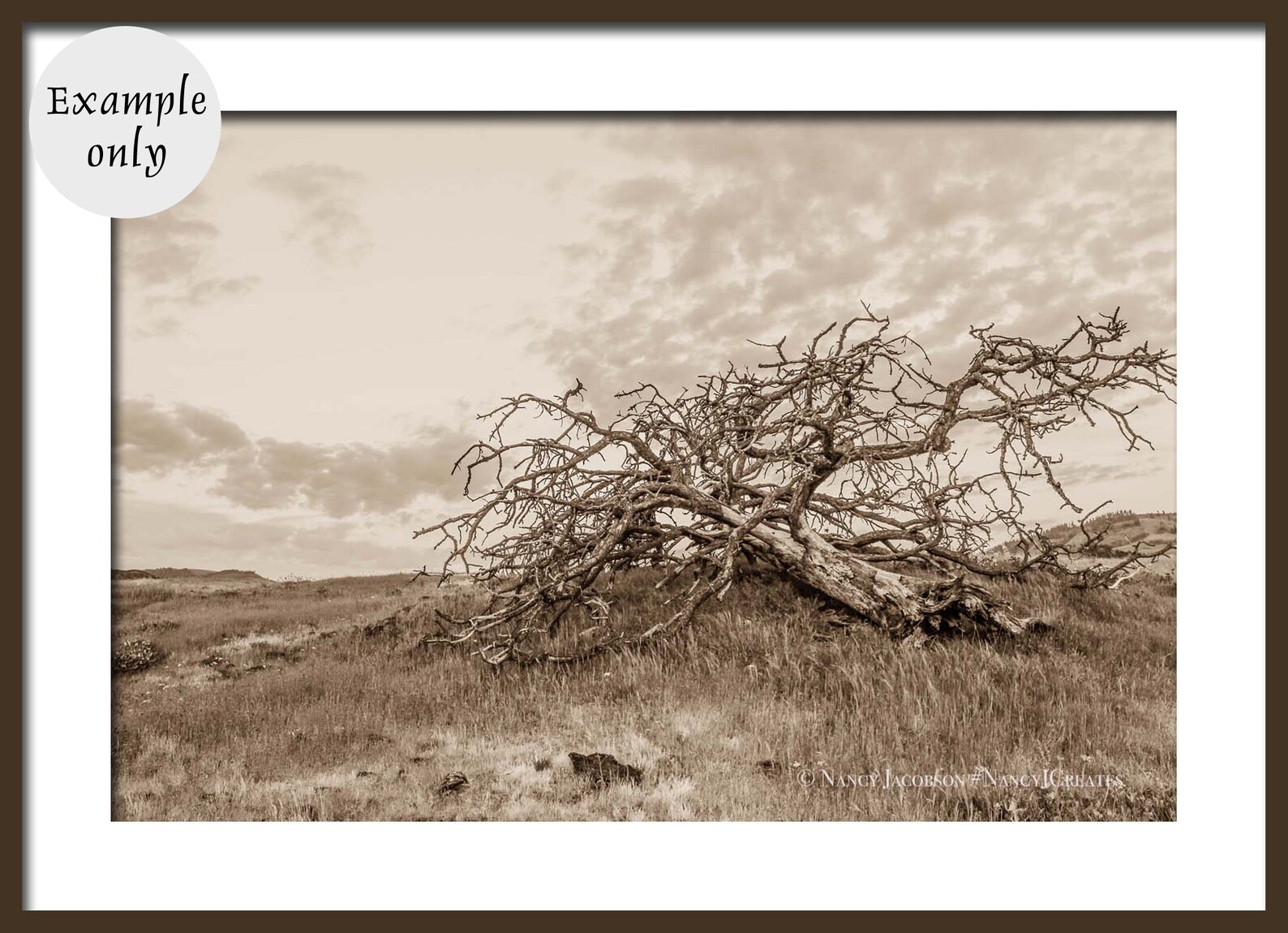 Dead Tree Print Nature Photography Rustic Wall Art Wild - Etsy