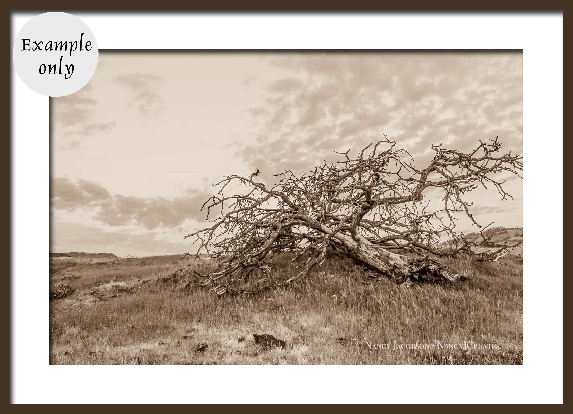 Dead Tree Print Nature Photography Rustic Wall Art Wild | Etsy