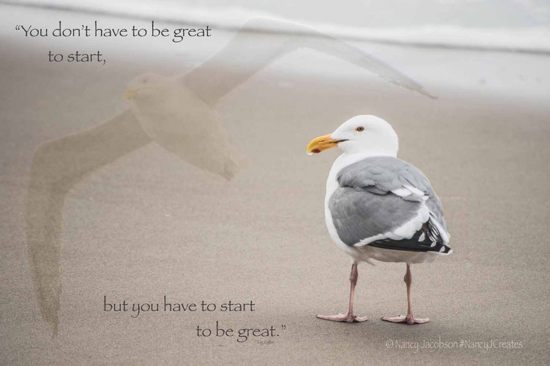 Inspirational Wall Art, Nature Print, Seagull Picture, Sandy Beach ...