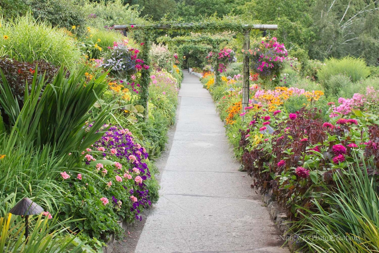 Path Through Lush Garden Wall Art, Colorful Flowers Butchart Gardens ...