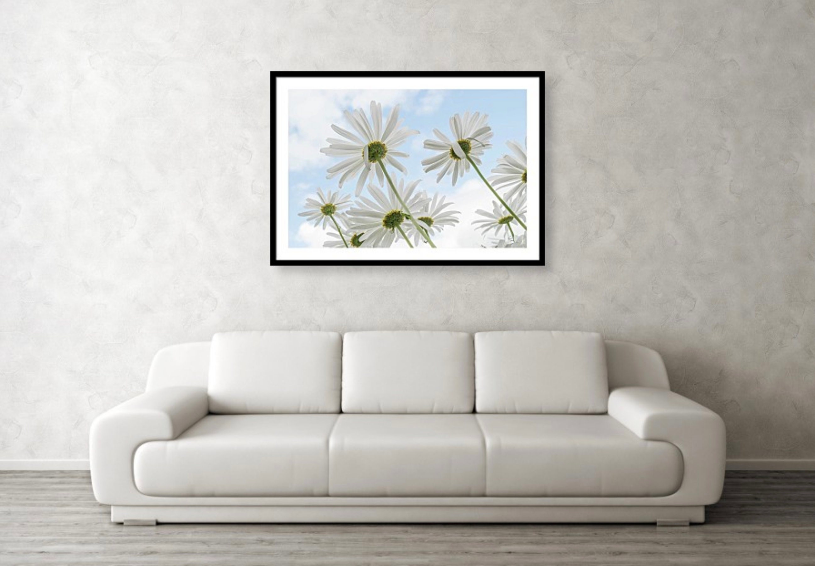 Daisy Floral Wall Art Print, Flower Photography, Delicate White Daisies ...