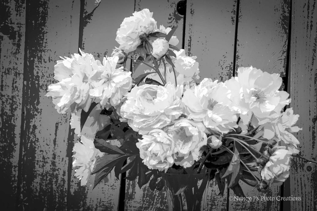 Peonies Floral Print ~ Black and White Wall Art, Peony Photography ...
