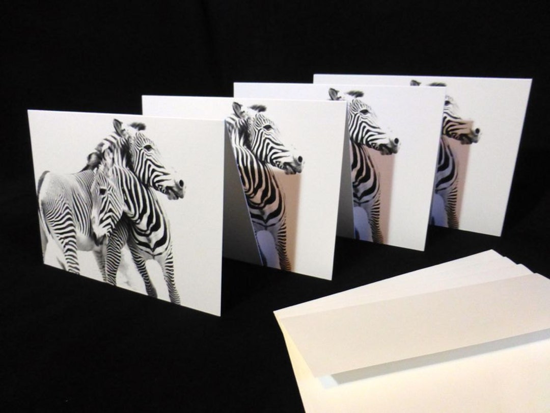 Zebra Note Cards - Set of 4 All Occasion Blank Cards ~ Love Thank You ...