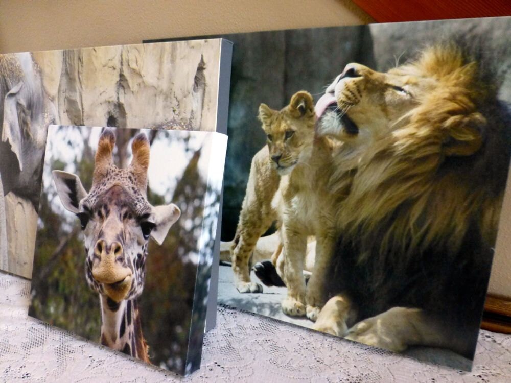 Canvas Gallery Wrap Large Art Canvas Print Canvas Art Print Canvas Wrap ...